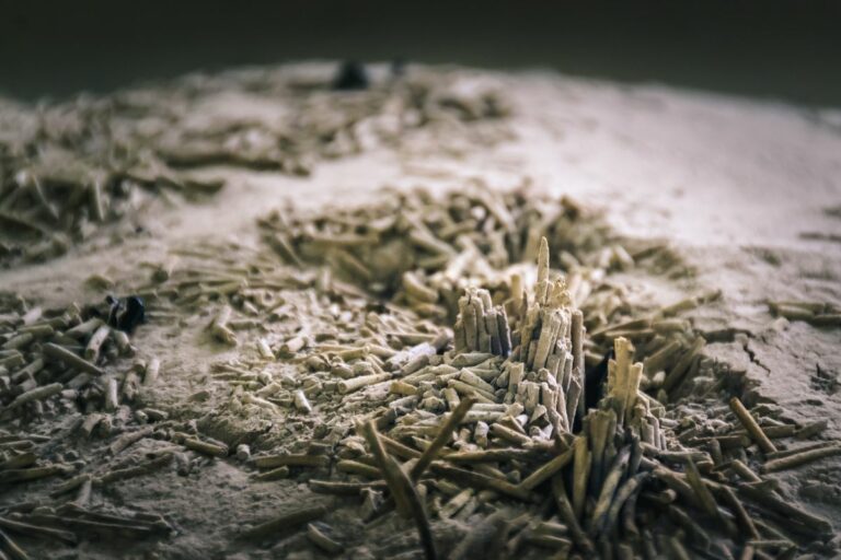 What to Do with Incense Ash: Creative and Practical Uses – Ancestor Altars